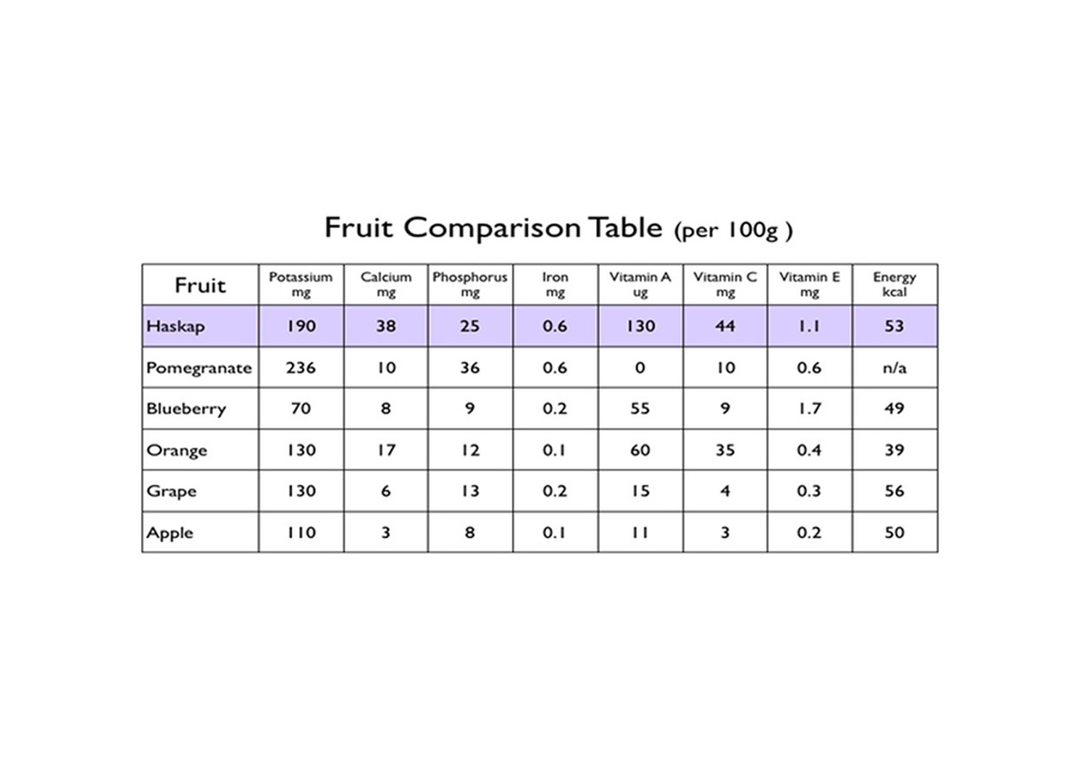 Nutrition of Haskap Berries – Indigo Valley Farm